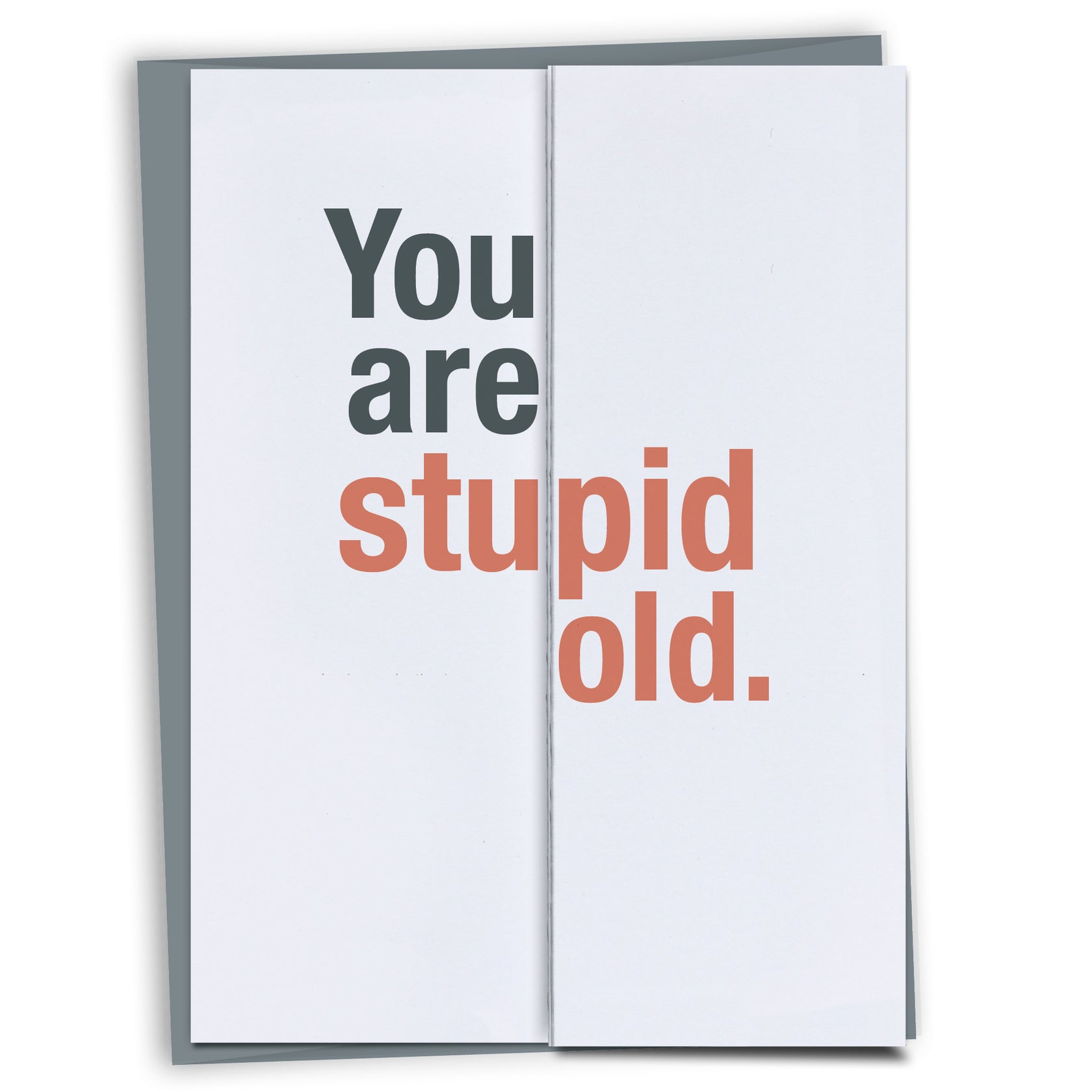 You are stupid old - funny birthday card – FINCH and HARE