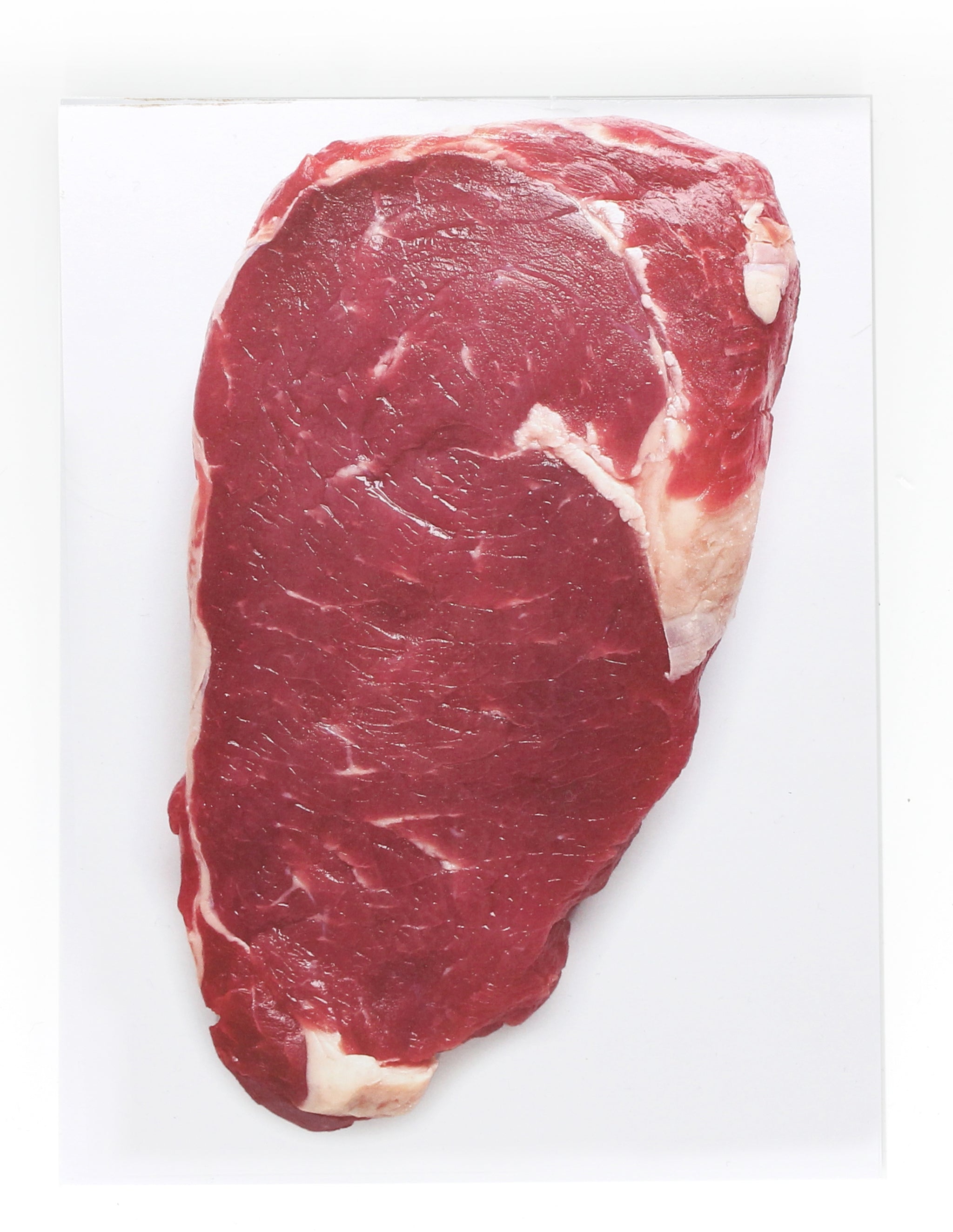 Steak and Potato Note Pad / Sticky Notes – FINCH and HARE